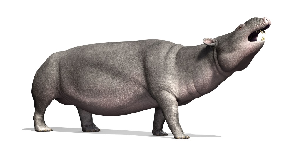 モエリテリウム(Moeritherium) | 絶滅動物図鑑